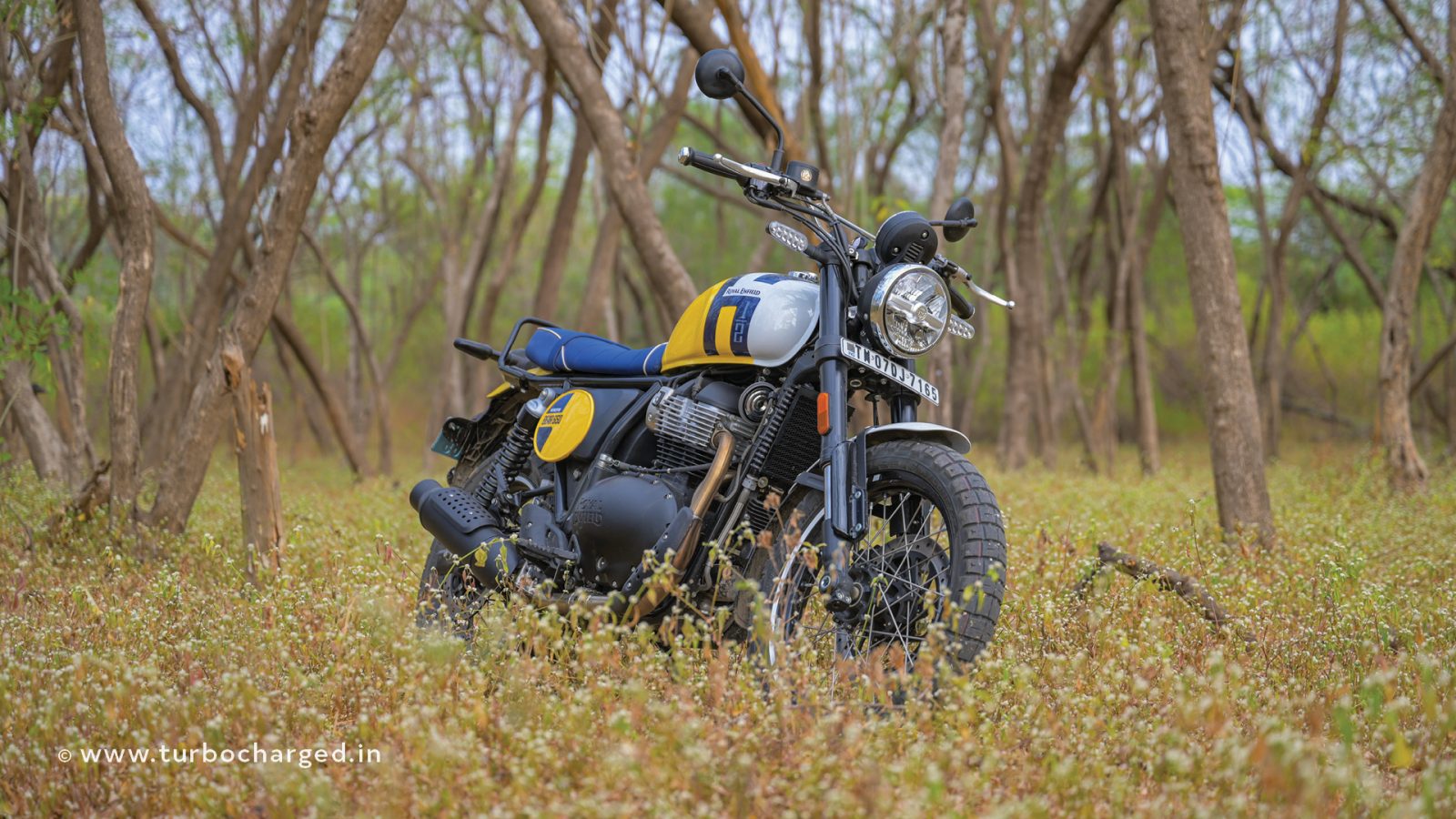 Royal Enfield Bear 650: First Ride Review - Turbocharged